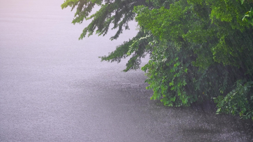 A Heavy Rain Pounds the Stock Footage Video (100% Royalty-free ...