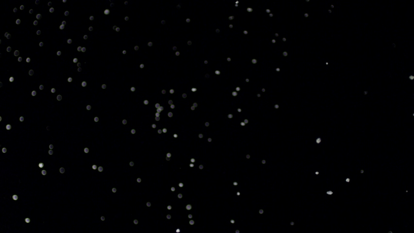 animated star field galactic space Stock Footage Video (100% Royalty ...