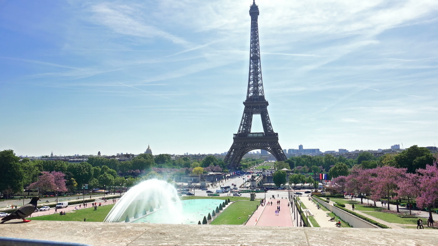 514 Dove tower Stock Video Footage - 4K and HD Video Clips | Shutterstock