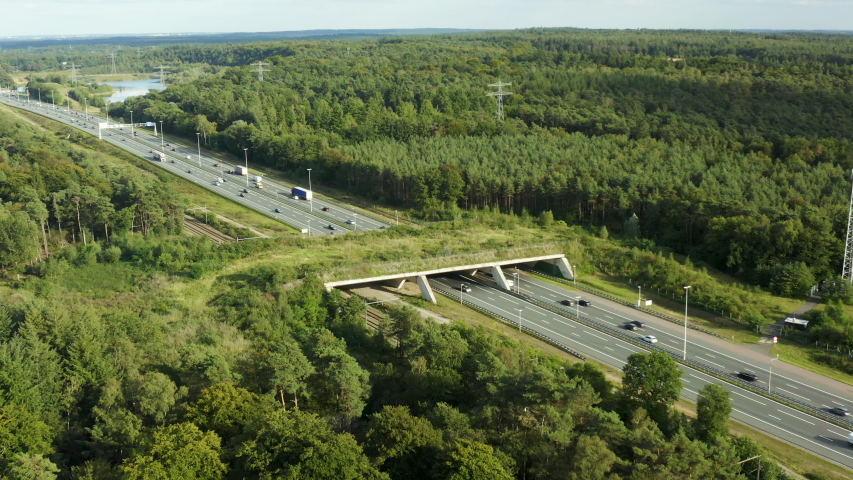 Ecoduct Stock Video Footage - 4K and HD Video Clips | Shutterstock