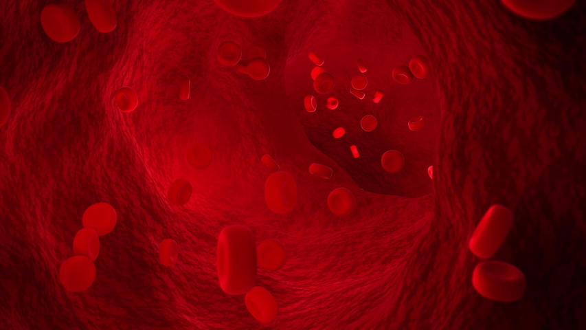 Rbc Cells Stock Video Footage - 4K and HD Video Clips | Shutterstock