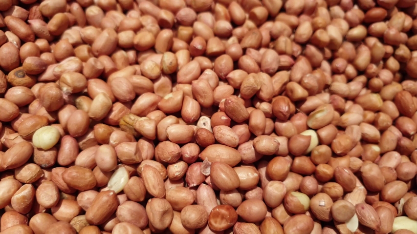 this fresh organic groundnuts Stock Footage Video (100% Royalty-free ...