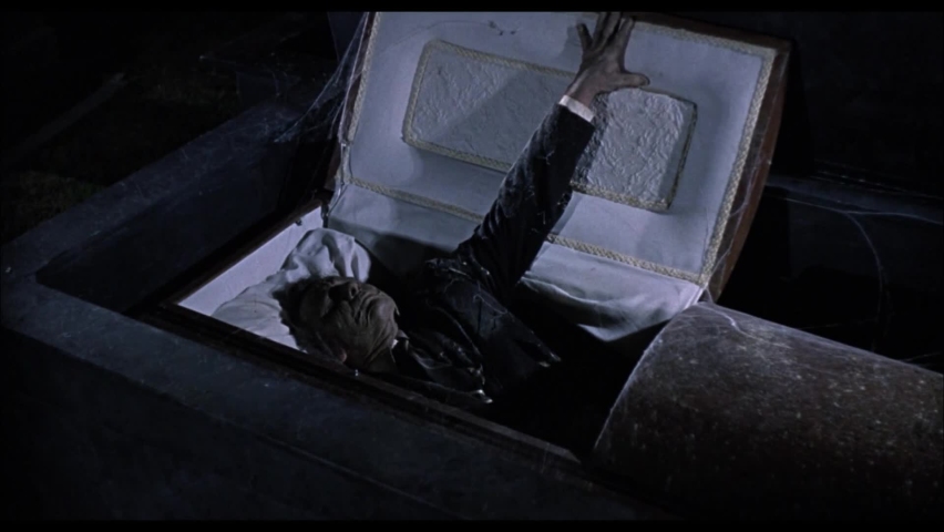 Vampire Coffin Stock Video Footage - 4K and HD Video Clips | Shutterstock