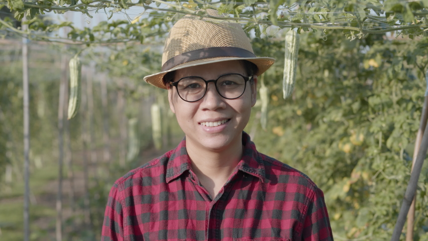 Smiling bitter gourd Stock Video Footage - 4K and HD Video Clips ...