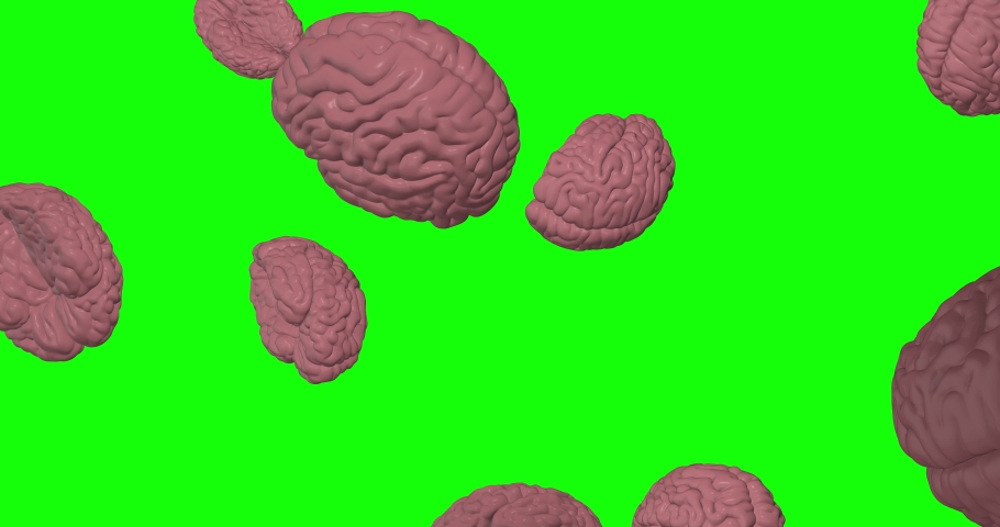 Human Brains Falling On a Stock Footage Video (100% Royalty-free ...