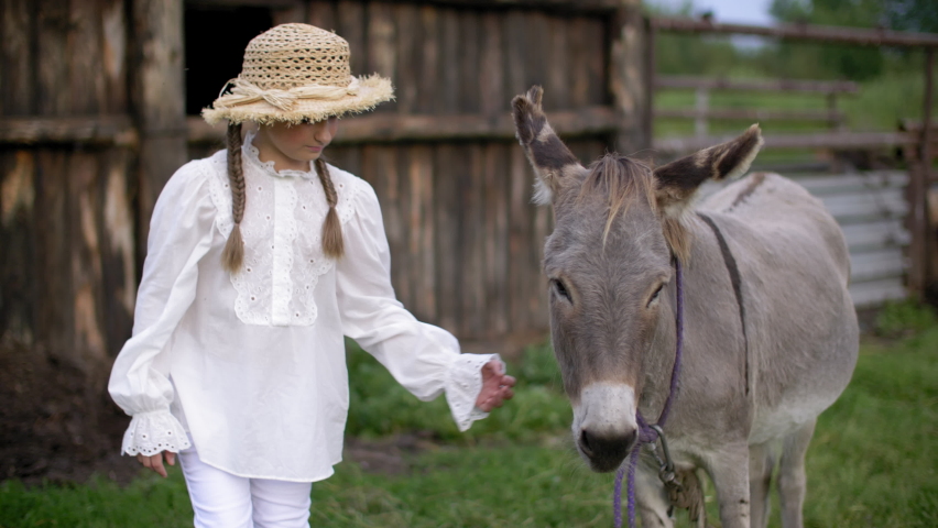 Donkey Girl Stock Video Footage - 4K and HD Video Clips | Shutterstock