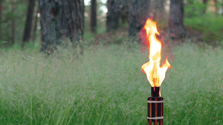 bamboo torch burning european forest decorative Stock Footage Video ...