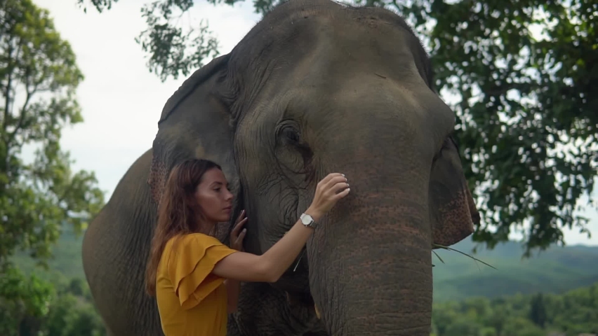 Welfare structure Stock Video Footage - 4K and HD Video Clips ...