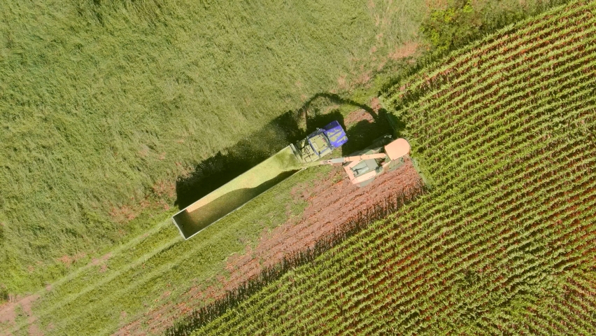 farm machine semi truck harvesting corn Stock Footage Video (100% ...