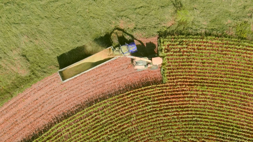 farm machine semi truck harvesting corn Stock Footage Video (100% ...