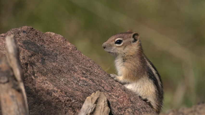 Rocky Mantle Stock Video Footage - 4K and HD Video Clips | Shutterstock