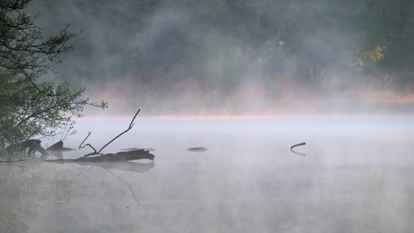 Ominous Dramatic Scary Place On Stock Footage Video (100% Royalty-free ...