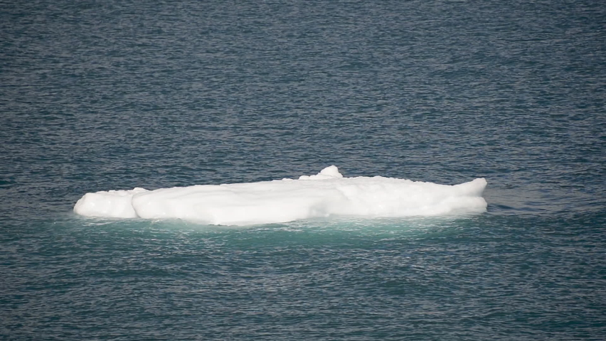 Ice Floe Floating On Water, Stock Footage Video (100% Royalty-free ...