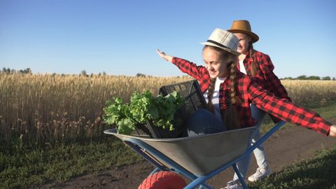 country western cowboy riding coach green Stock Footage Video (100% ...
