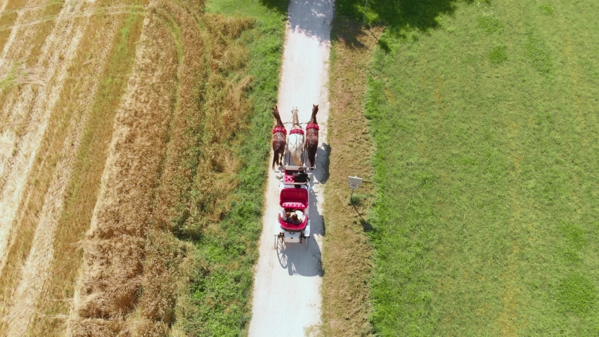 beautiful top view wedding carriage three Stock Footage Video (100% ...