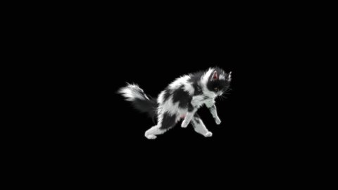 Cat Dancing Cg Fur 3d Rendering Stock Footage Video (100% Royalty-free ...