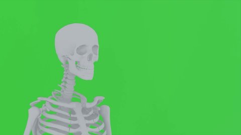 Human Skeletal System Green Screen Stock Footage Video (100% Royalty ...