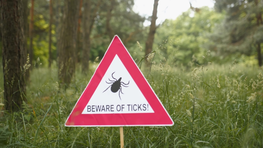 Tick Area Stock Video Footage - 4K and HD Video Clips | Shutterstock