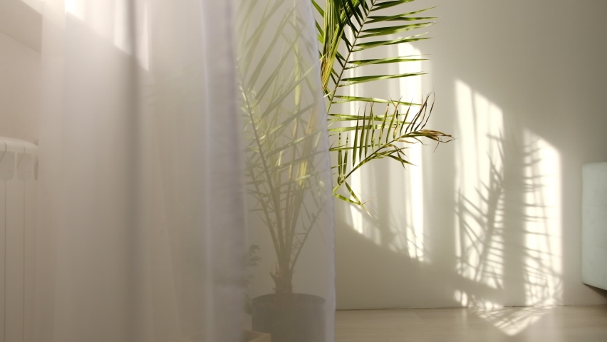 Wind Blows Through the Open Stock Footage Video (100% Royalty-free ...