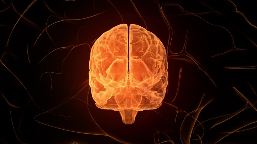 Orange Brain. Abstract Digital Human Stock Footage Video (100% Royalty ...