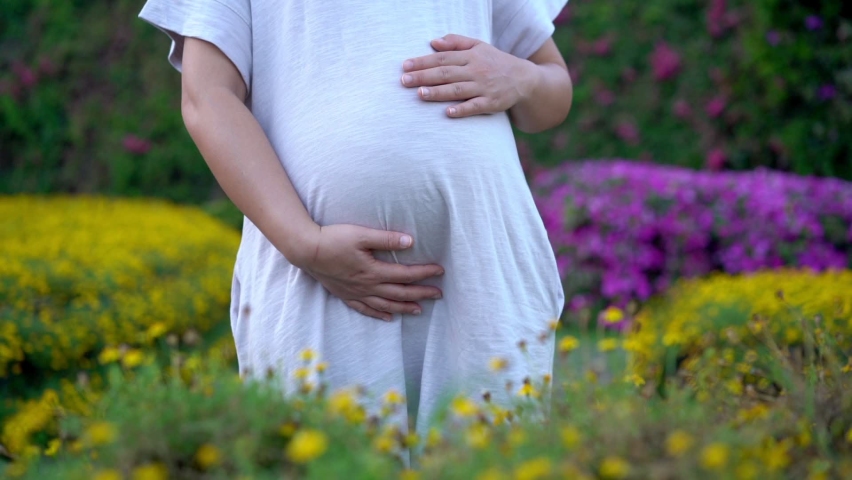 Woman Belly Flower Stock Video Footage - 4K and HD Video Clips ...
