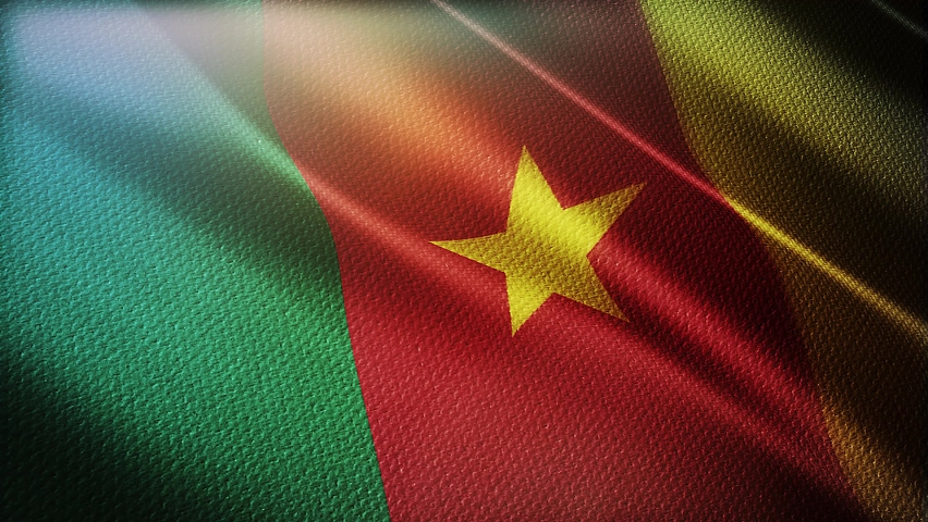 Cameroon Flag Stock Video Footage - 4K and HD Video Clips | Shutterstock