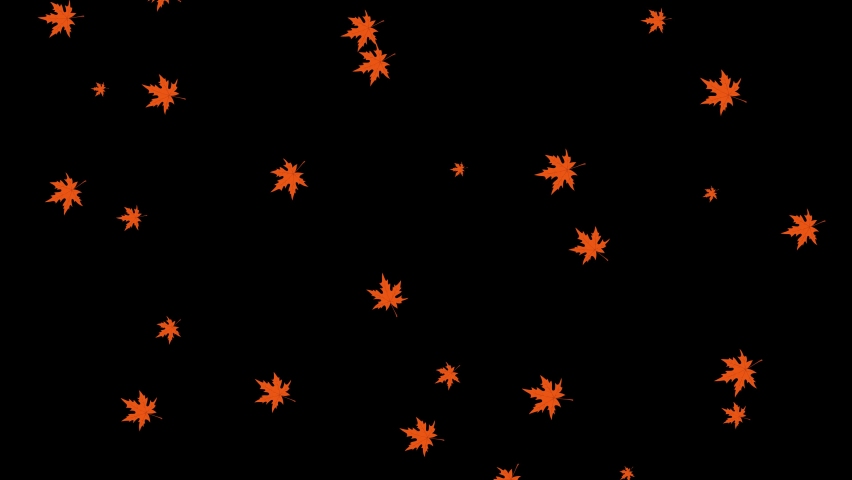 leaf fall animation autumn maple leaves Stock Footage Video (100% ...