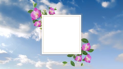 Animation White Square Copy Decorated Green Stock Footage Video (100% ...