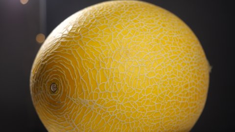 Whole Yellow Melon Rotate Closeup Melon Stock Footage Video (100% ...