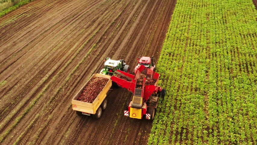 Beet Harvesting Machine Stock Video Footage - 4K and HD Video Clips ...