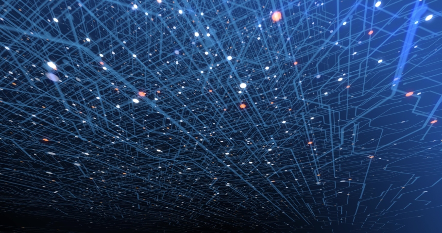 Polygon Marine Stock Video Footage - 4K and HD Video Clips | Shutterstock