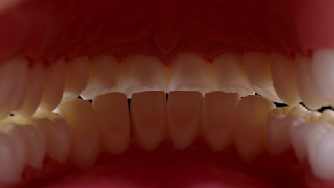 Jaws Open Close View Inside Mouth Stock Footage Video (100% Royalty ...