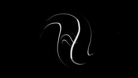 Vastram Logo Garments Women Saree Type Stock Vector (Royalty Free ...