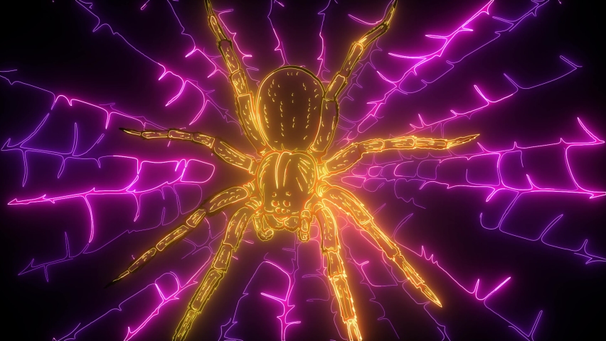 Neon spider web Stock Video Footage - 4K and HD Video Clips | Shutterstock