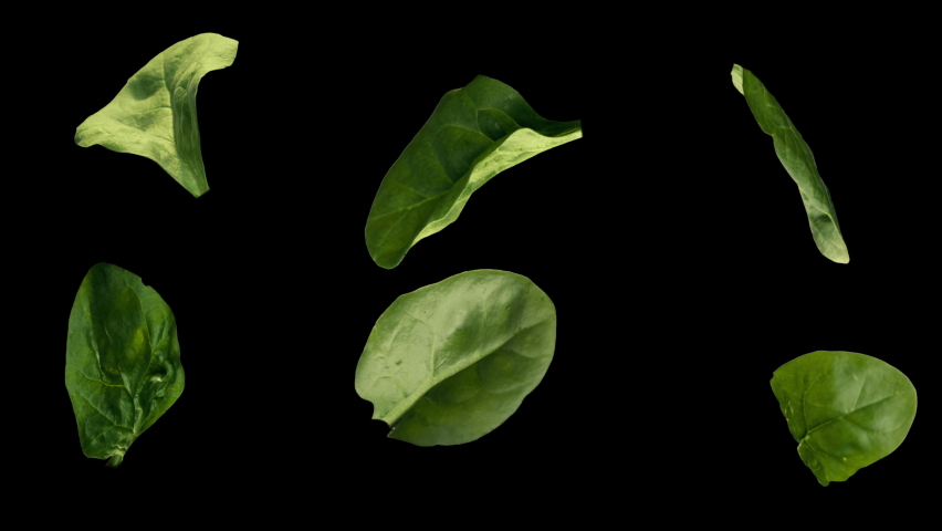 Tumbling Leaves Stock Video Footage - 4K and HD Video Clips | Shutterstock