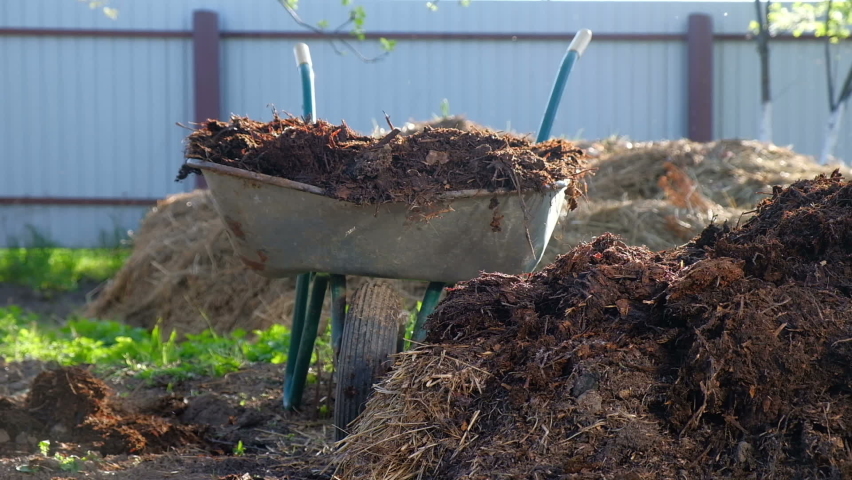Loading Manure Stock Video Footage - 4K and HD Video Clips | Shutterstock