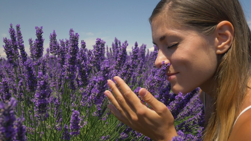 Slow Motion - Close up Stock Footage Video (100% Royalty-free ...