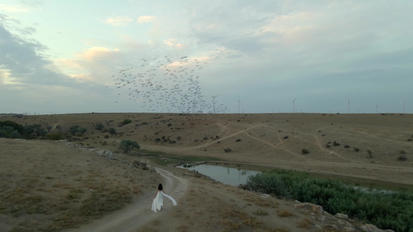 Bride Walk Over Flock of Stock Footage Video (100% Royalty-free ...