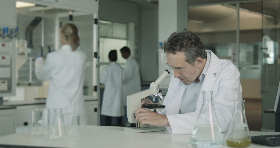 senior male laboratory scientist conducts experiment Stock Footage ...