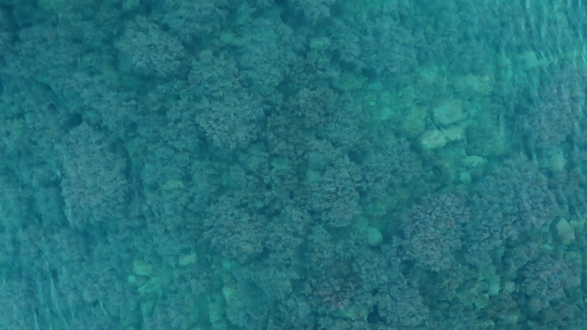 view above sea clear water visible Stock Footage Video (100% Royalty ...