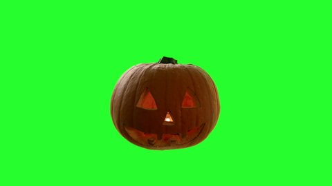 Pumpkin green screen Stock Video Footage - 4K and HD Video Clips ...