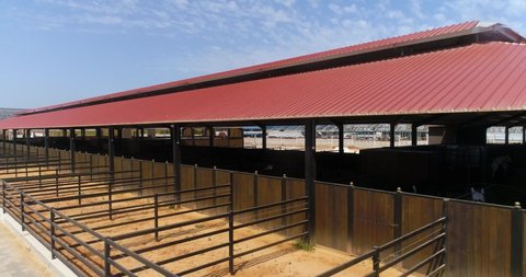 Kmitl Stadium Bangkok Thailand Stock Photo 415825306 | Shutterstock
