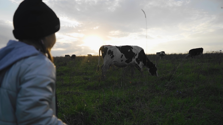 Pastoral Care Stock Video Footage - 4K and HD Video Clips | Shutterstock