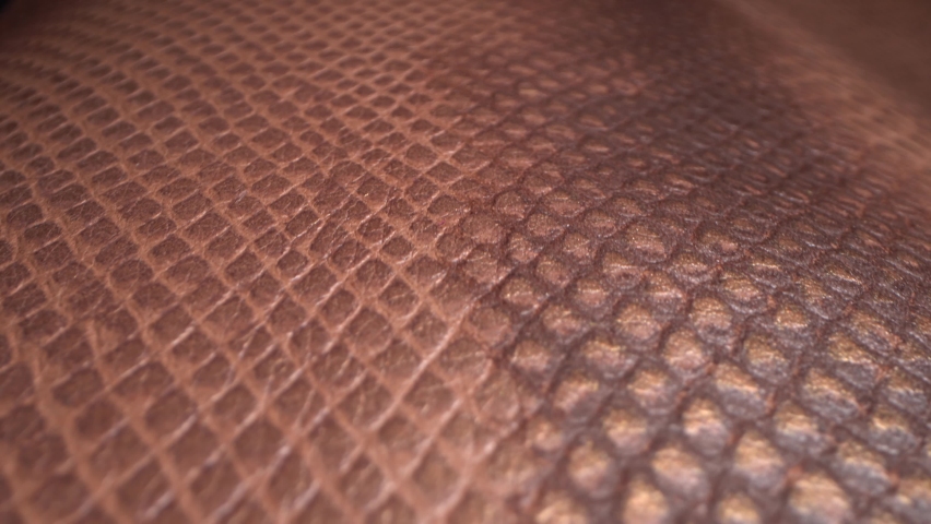Snake Fabric Patterns Stock Video Footage - 4K and HD Video Clips ...