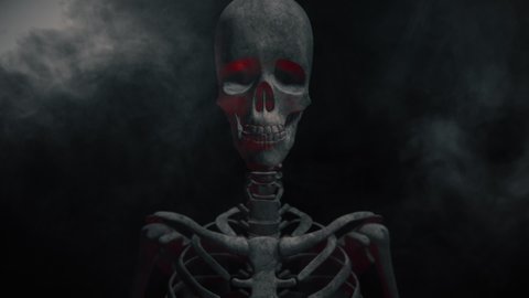 animation appearance skull skeleton darkness horror Stock Footage Video ...