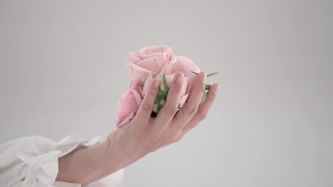 Hands Throwing Pink Roses Flower Stock Footage Video (100% Royalty-free ...