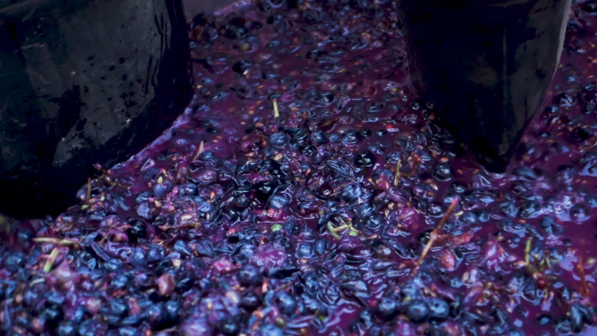 Boot crushing Stock Video Footage - 4K and HD Video Clips | Shutterstock