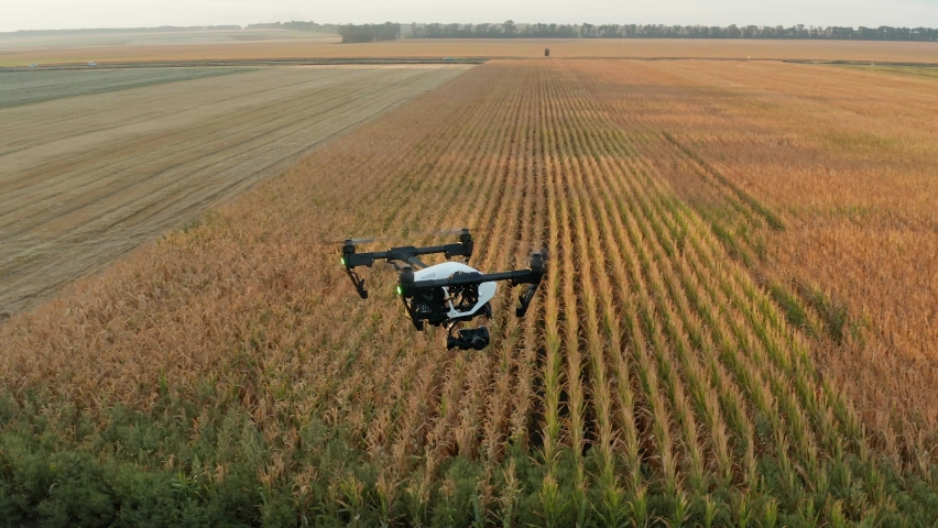 Free impressive Stock Video Footage - Royalty Free Video Download | Coverr