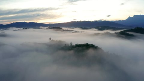 Aerial 4k Footage Beautiful Fresh Green Stock Footage Video (100% ...