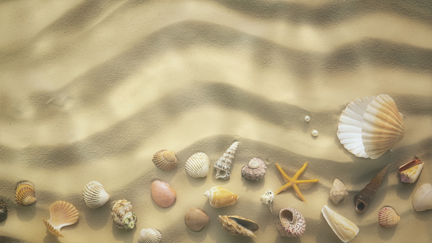 Pearl Inside Seashell Beautiful Pearl Shell Stock Footage Video (100% ...